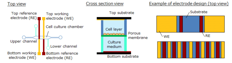 TEER measurement microfluidic device | Nano/MicroSystemEngineeringLab