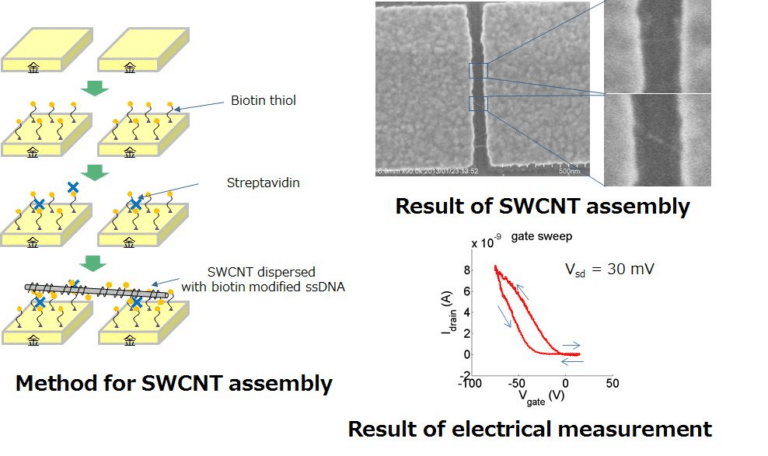 Characterization of SWCNT with ssDNA | Nano/MicroSystemEngineeringLab