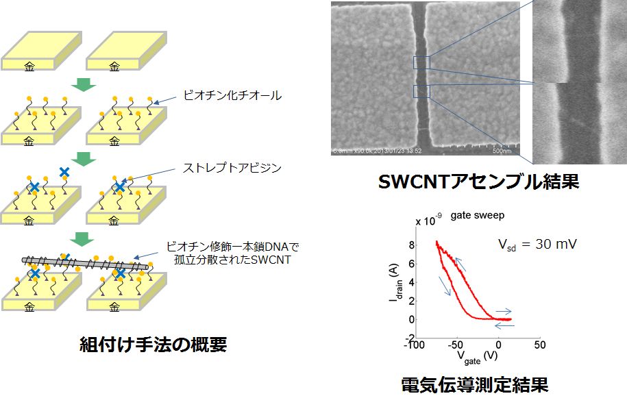 Characterization of SWCNT with ssDNA | Nano/MicroSystemEngineeringLab